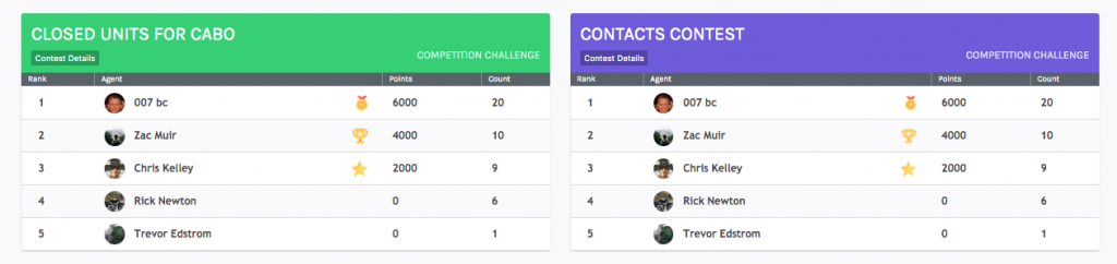 Sisu Real Estate Review 1 - Real Estate Coaching - Icenhower Coaching